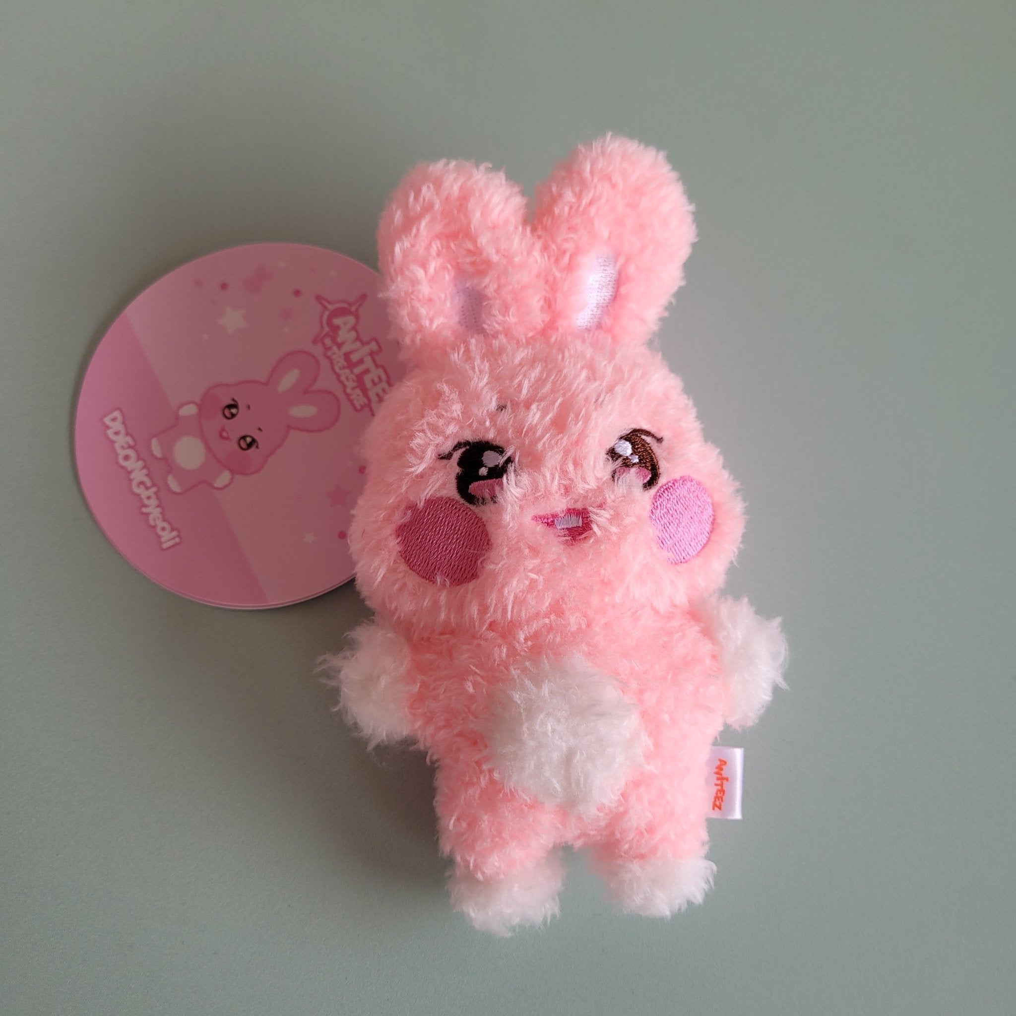 Aniteez in Treasure Official Merch - Mini Plush DDYEONGbyeoli - KPop Idol