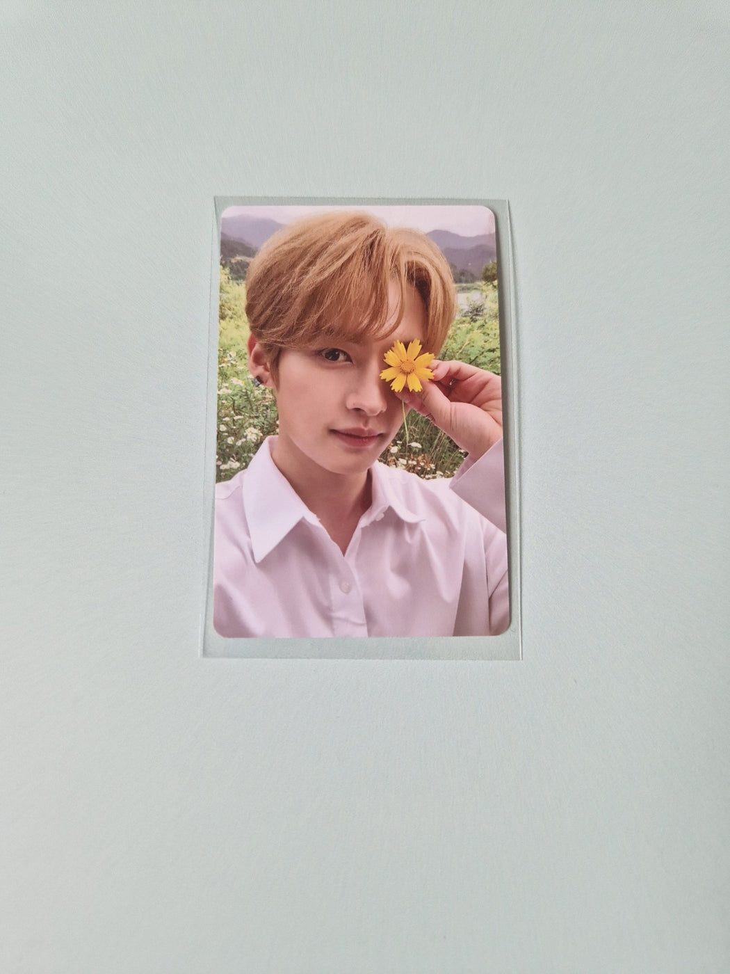 Stray Kids Lee Know No Easy Limited Album PC - KPop Idol