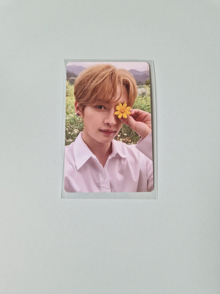 Stray Kids Lee Know No Easy Limited Album PC - KPop Idol